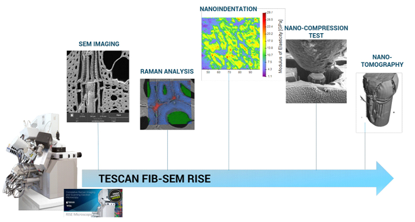 SEM RISE-RAMAN Microscopes | Zeppelin Lusitânia